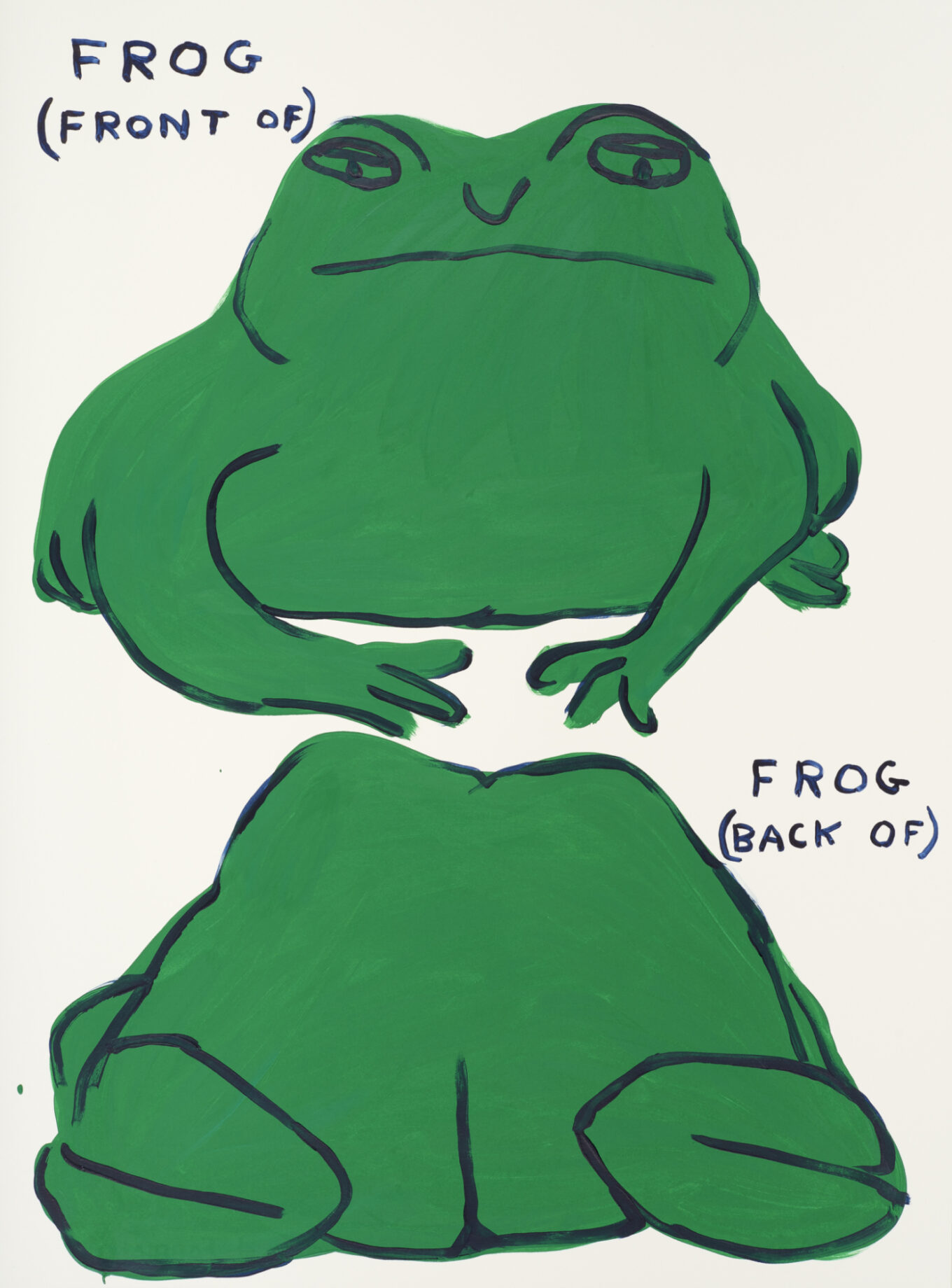 untitled 'frog (front of) frog (back of) - David Shrigley